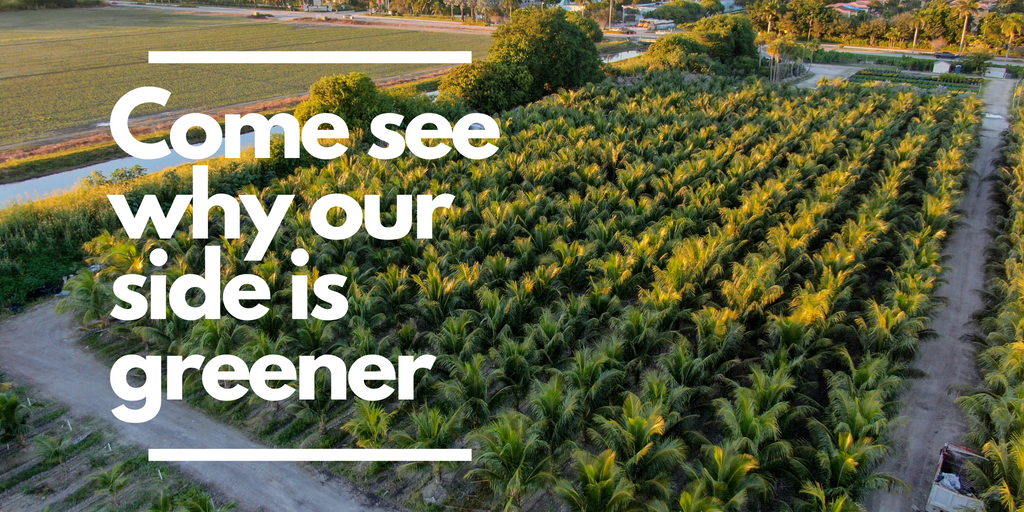 Dummy 2 – A1A Sod Sand Soil